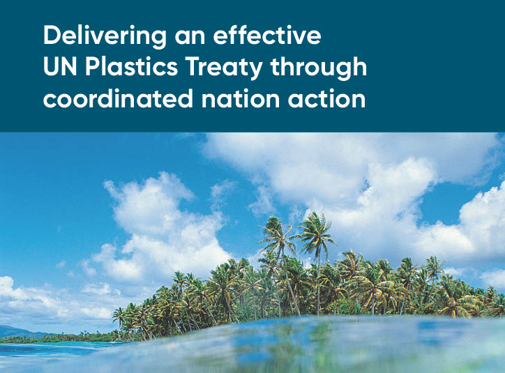 Seven Key Steps for National Plastic Pollution Action Plan | Mirage News