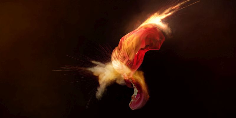 Explosive live action film wins awards | News