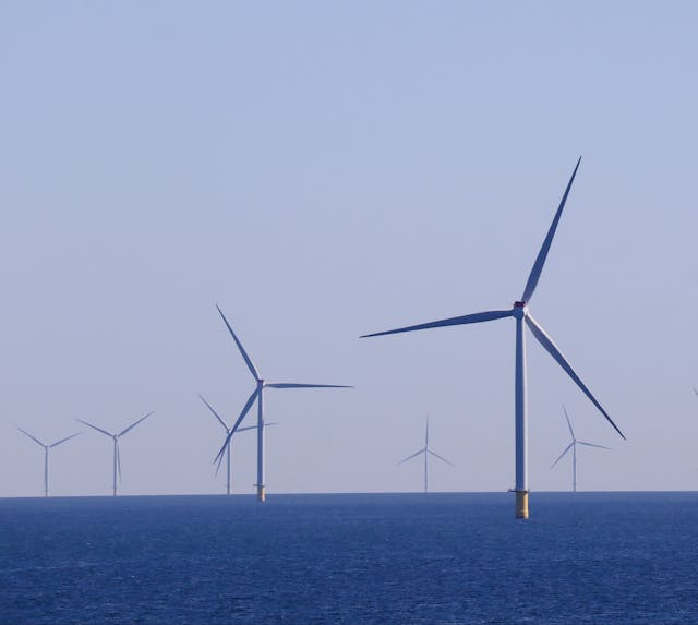 Offshore Wind Farms Pose Major Ecosystem, Health Risks | Mirage News