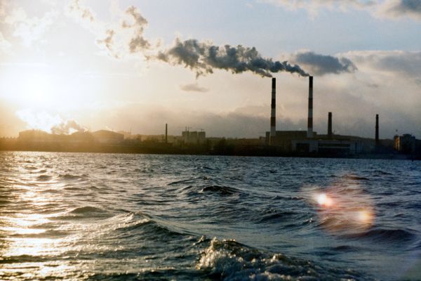 Are chemical pollutants altering the behaviour of wildlife and humans ...