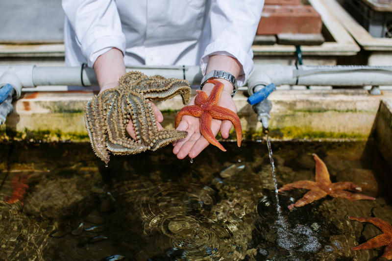 BSc (Hons) Marine Environmental Science | University of Portsmouth