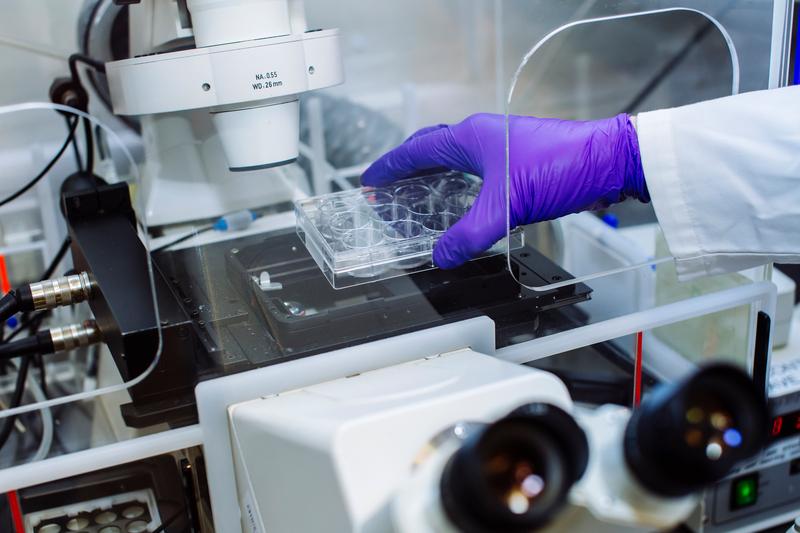 MSc Biomedical Engineering Master's | University of Portsmouth