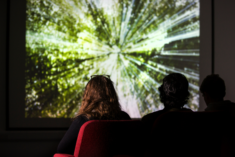 Film and media postgraduate research degrees | University of Portsmouth