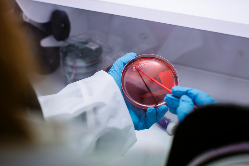 BSc (Hons) Biomedical Science | University of Portsmouth