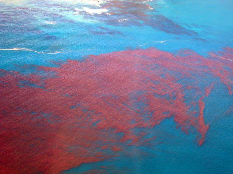Chemical pollutants affect wildlife and human behaviour. But industry ...